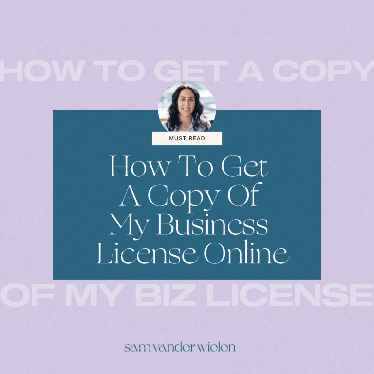 How To Get A Copy Of My Business License Online | Sam Vander Wielen