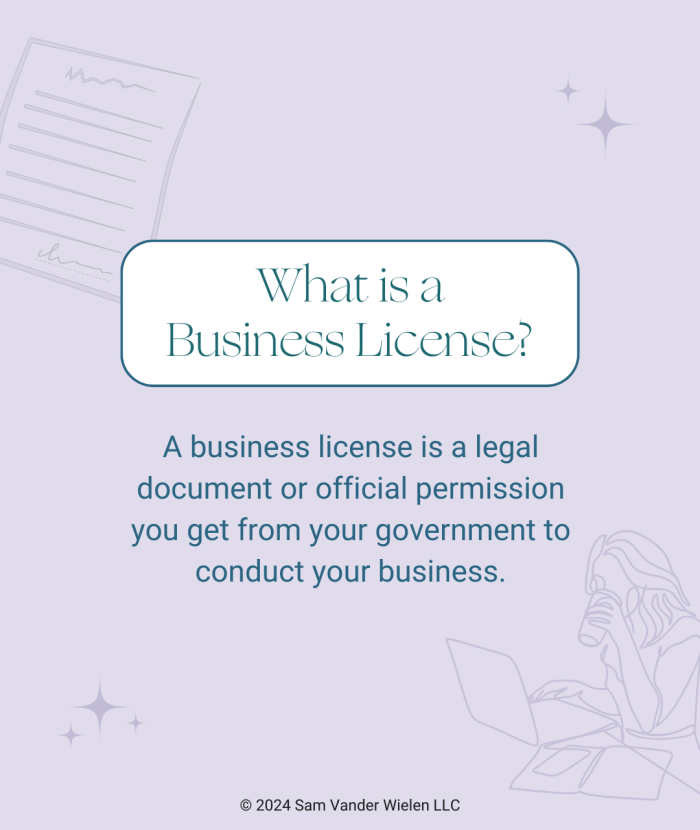 Is a Business License the Same as an LLC? | Sam Vander Wielen